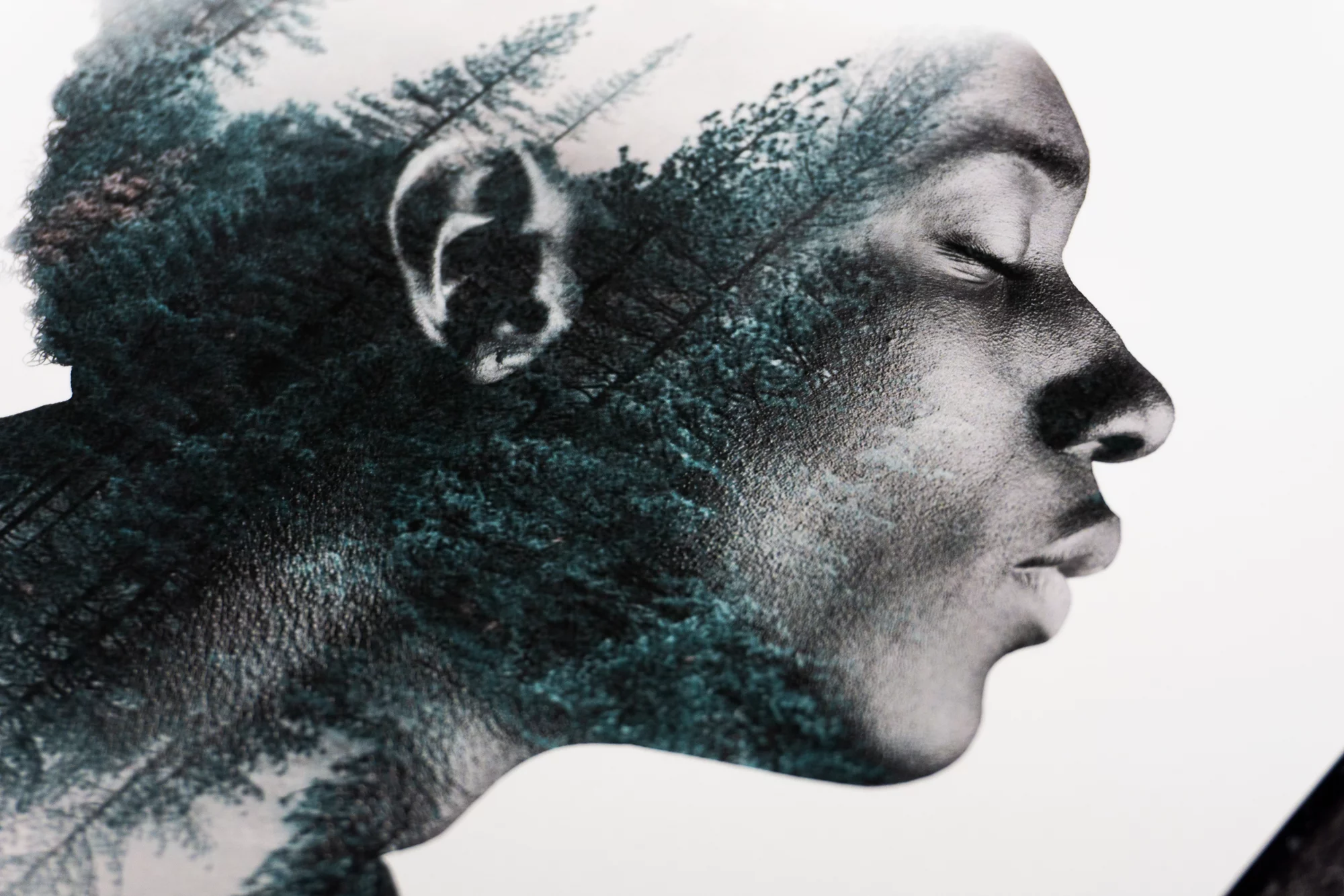 5 Reasons Why You Should Use Fine Art Paper | Blog