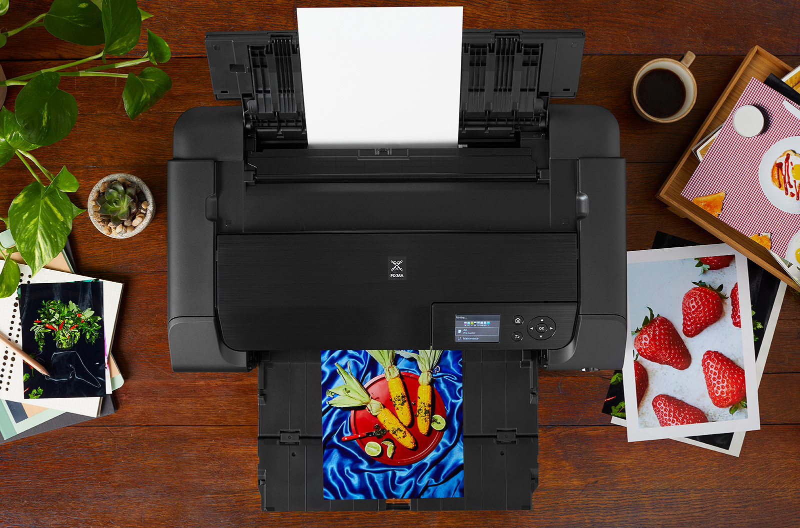 Home Printing for Artists: Everything You Need to Sell Your Prints