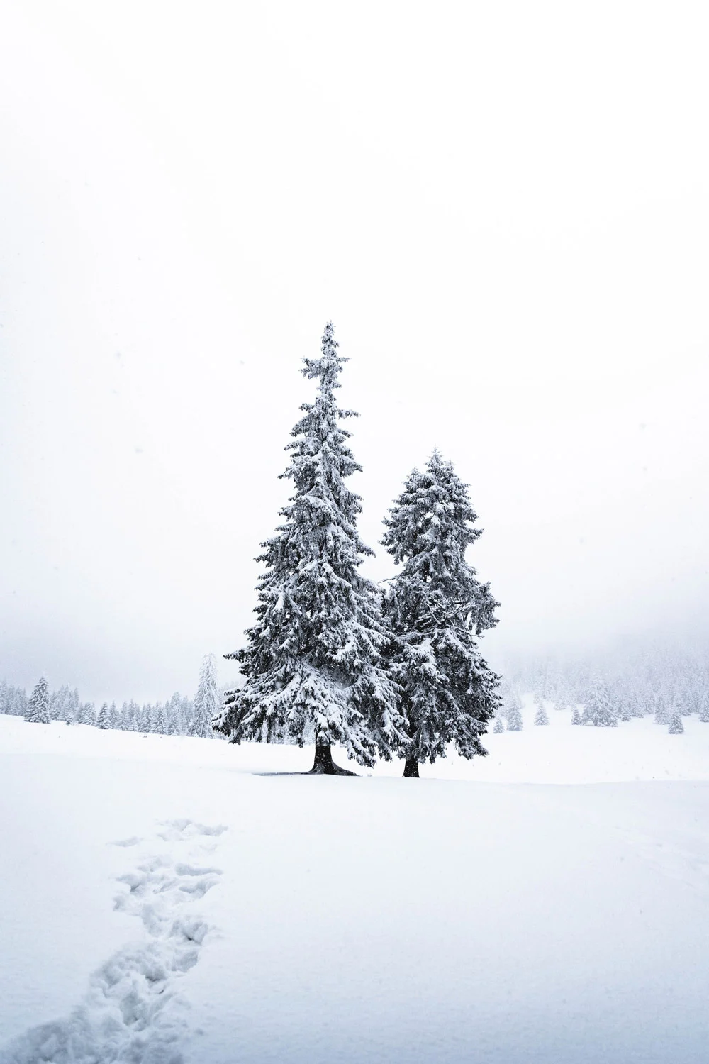 6 Winter Photography Tips | Blog