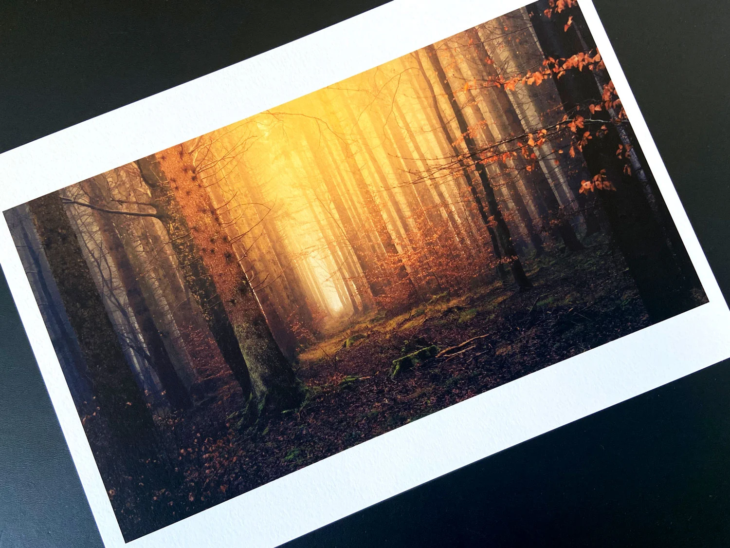How to Make Amazing Autumn Photography Prints | Blog