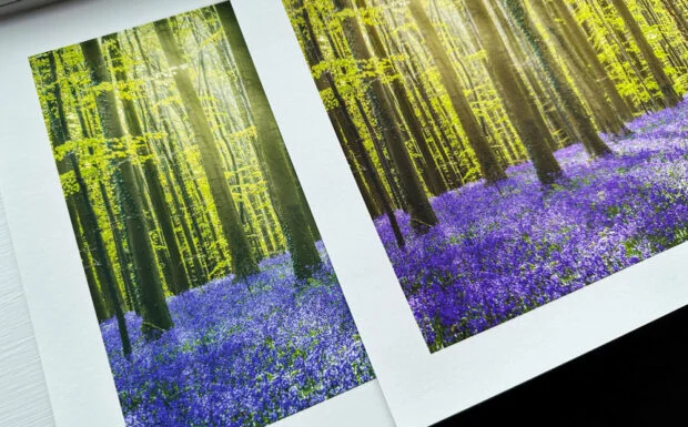 Rendering Intents, Explained | Blog